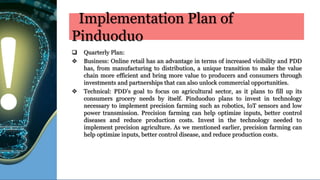 Pinduoduo-2-Autosaved.pptx