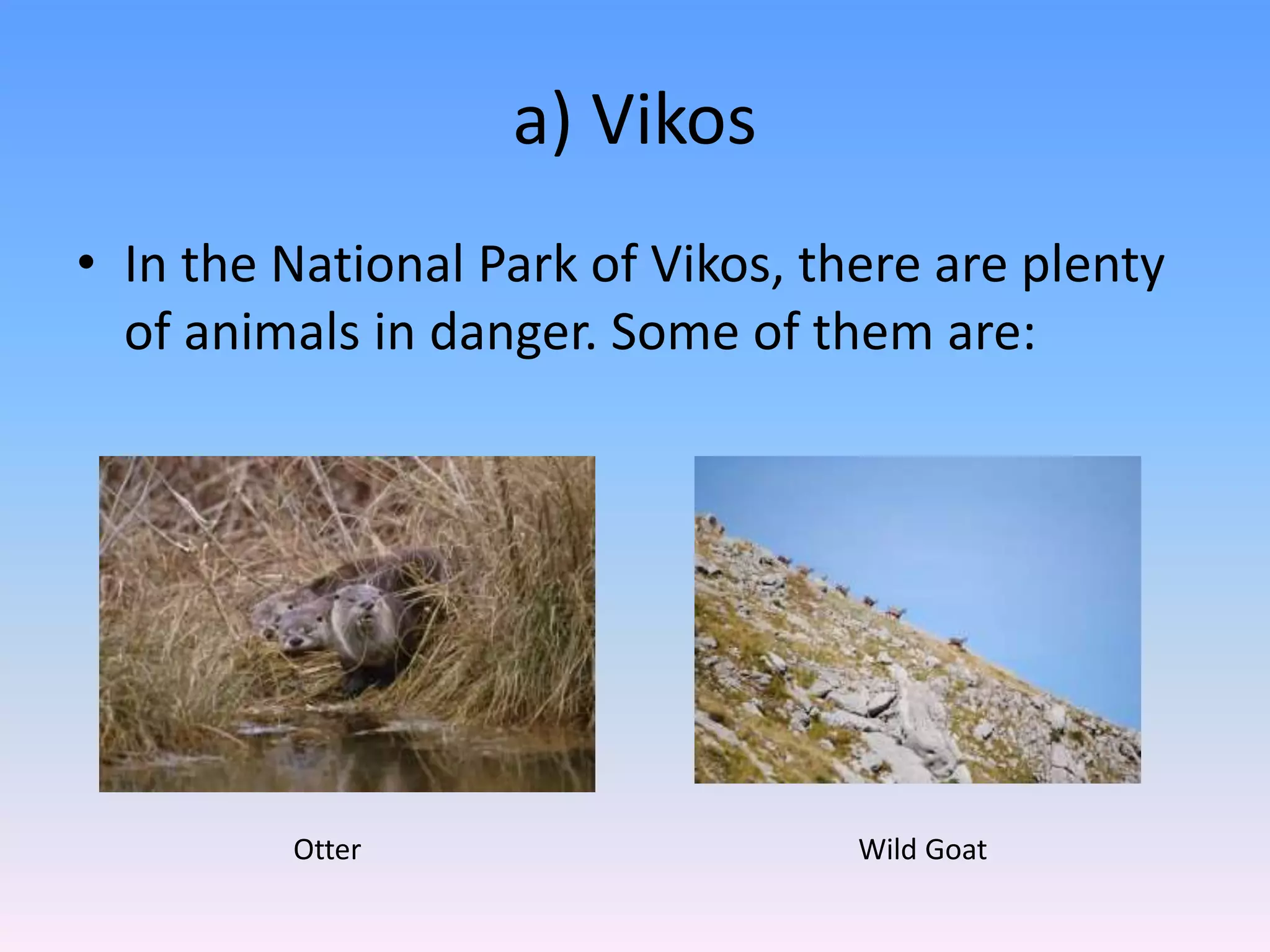 Pindus national parks | PPT