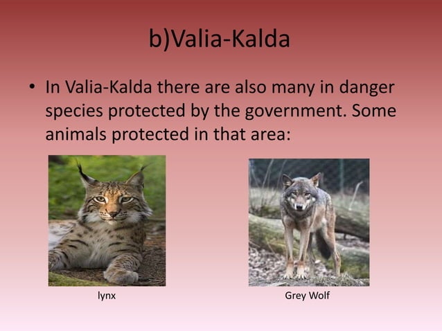 Pindus national parks | PPT