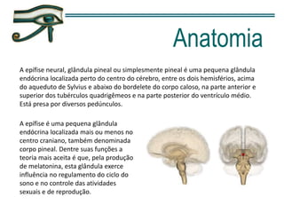 Pineal - anatomia e mediunidade.pptx