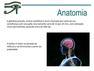 Pineal - anatomia e mediunidade.pptx