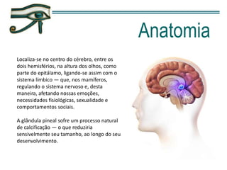 Pineal - anatomia e mediunidade.pptx