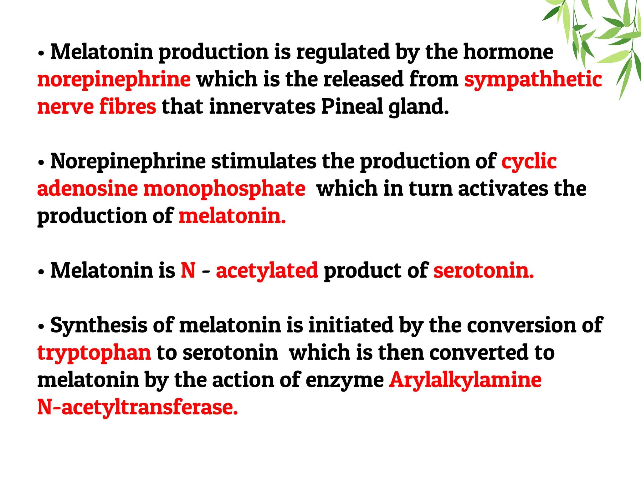 Mammalian Pineal Body Structure and Also Functions | PDF