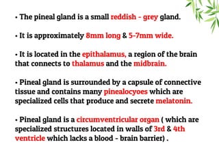 Mammalian Pineal Body Structure and Also Functions | PDF