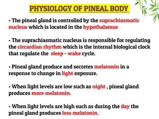 Mammalian Pineal Body Structure and Also Functions | PDF
