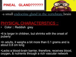 Pineal glad | PPT