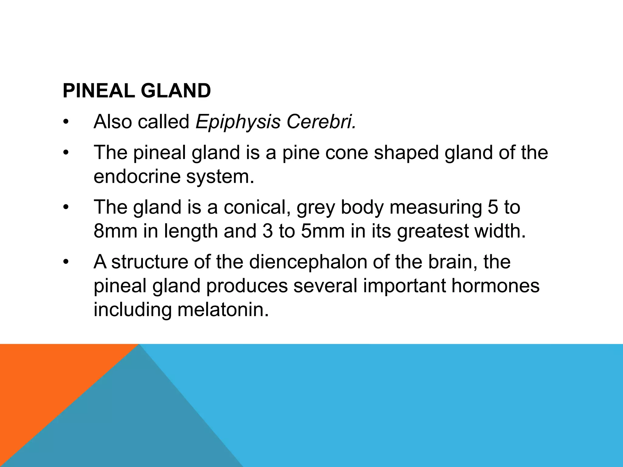 pinealgland-110930194436-phpapp02.pdf | Endocrine and Metabolic ...