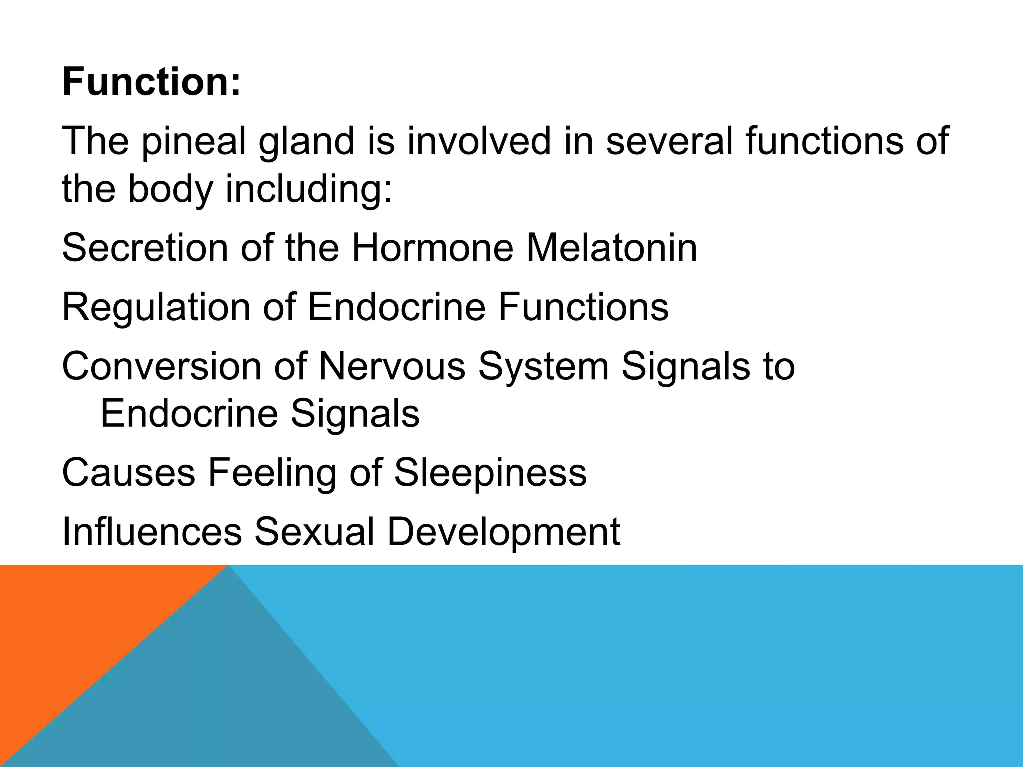 pinealgland-110930194436-phpapp02.pdf | Endocrine and Metabolic ...