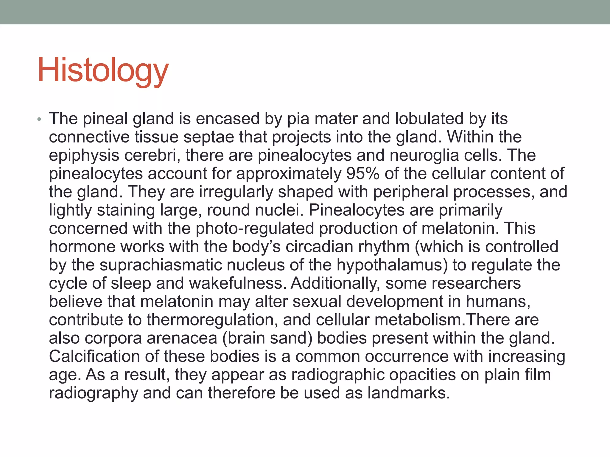 Pineal gland.ANTOMY .HISTOLOGY.FUNCTION | PPTX