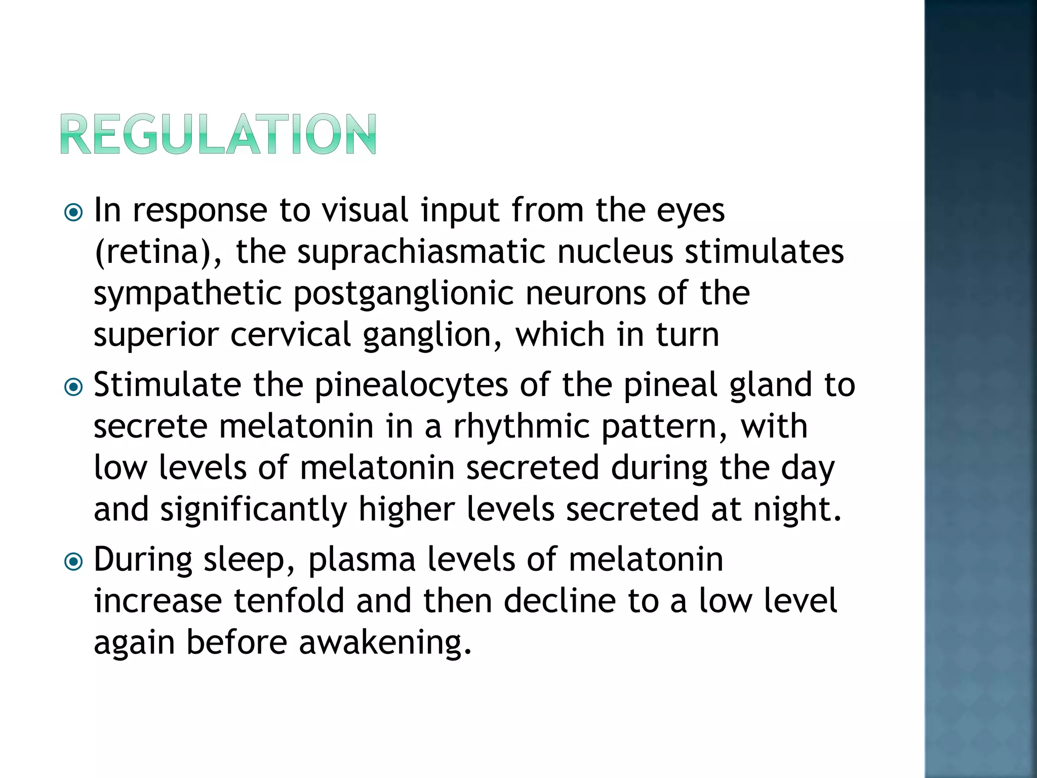 Pineal gland - Secretion, Function and Regulation | PPTX