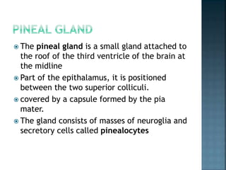 Pineal gland - Secretion, Function and Regulation | PPTX