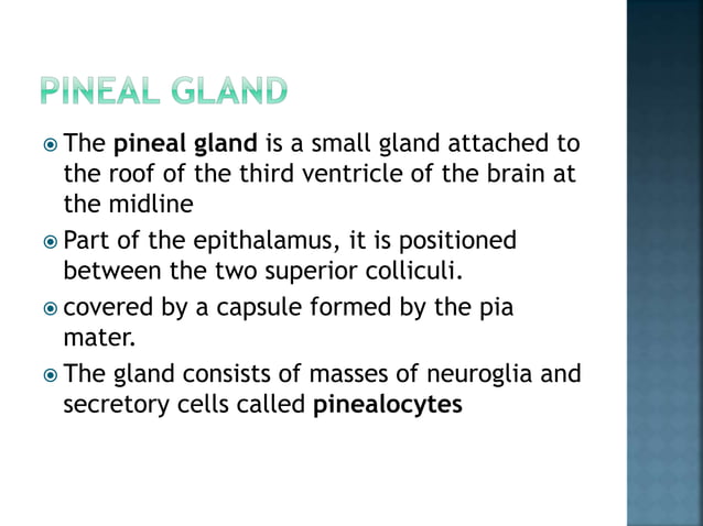 Pineal gland - Secretion, Function and Regulation | PPTX