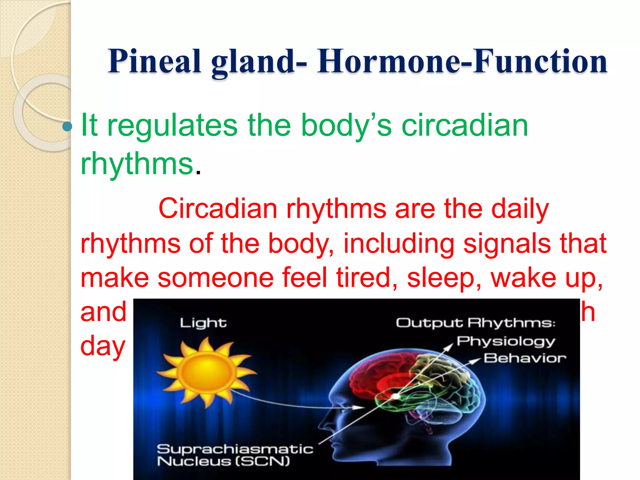 Pineal gland | PPTX