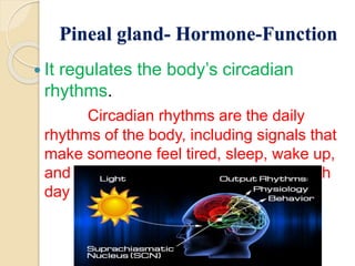 Pineal gland | PPTX