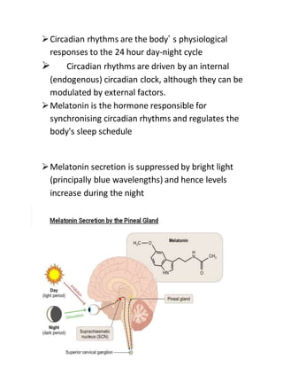 Pineal gland the third eye of man. | DOC