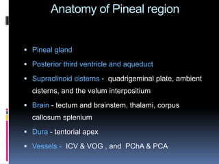 Pineal region.pptx
