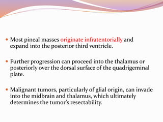 Pineal region tumors | PPTX