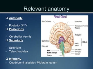 Pineal tumors | PPT
