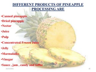 Pineapple | PPTX