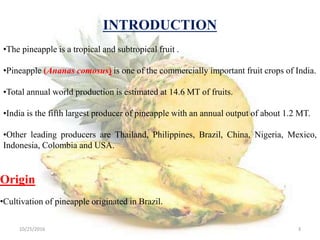 Pineapple | PPTX