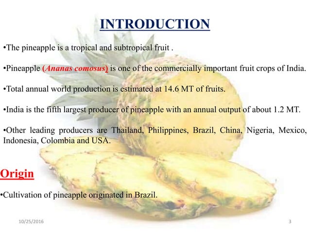 Pineapple | PPTX