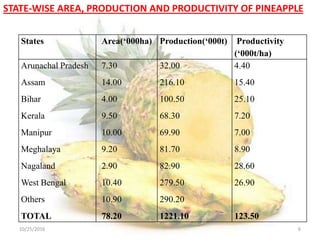 Pineapple | PPTX