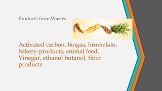 Pineapple waste-management | PDF