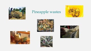Pineapple waste-management | PDF