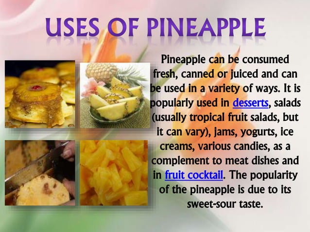 Pineapple (ananas comosus) | PPTX