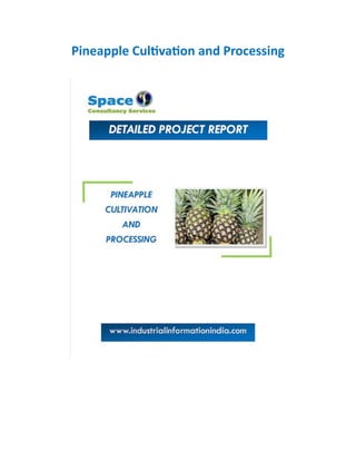 Pineapple Cultivation and Processing Project Report | PDF
