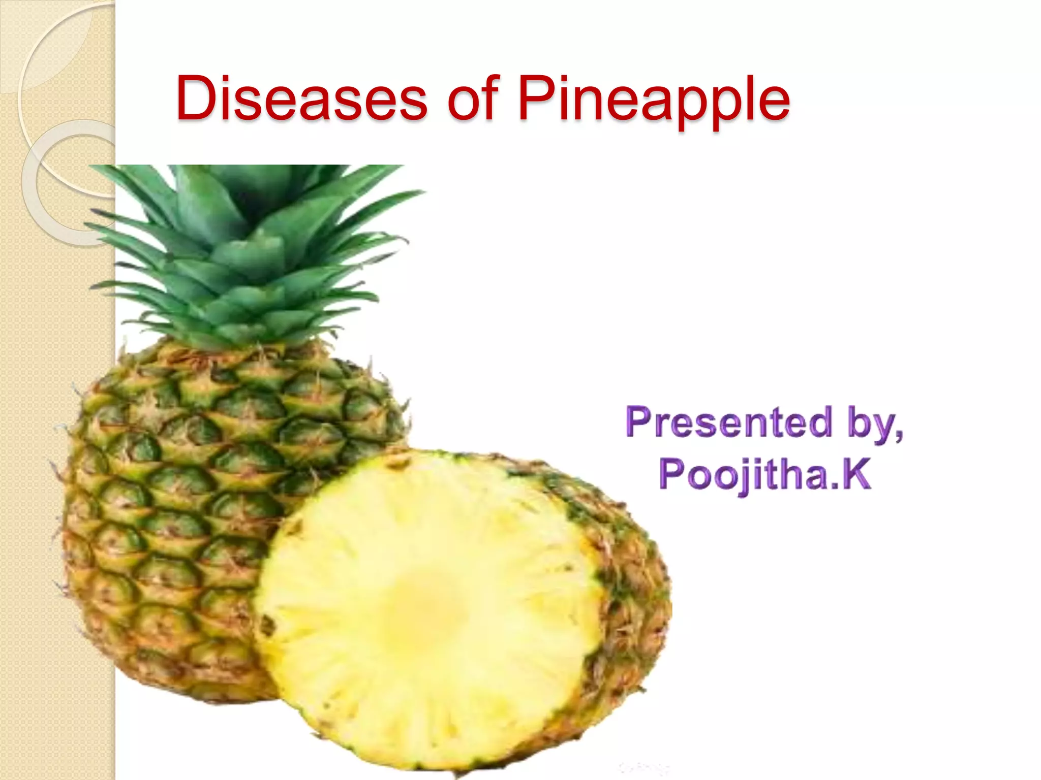 Diseases of Pineapple | PPTX