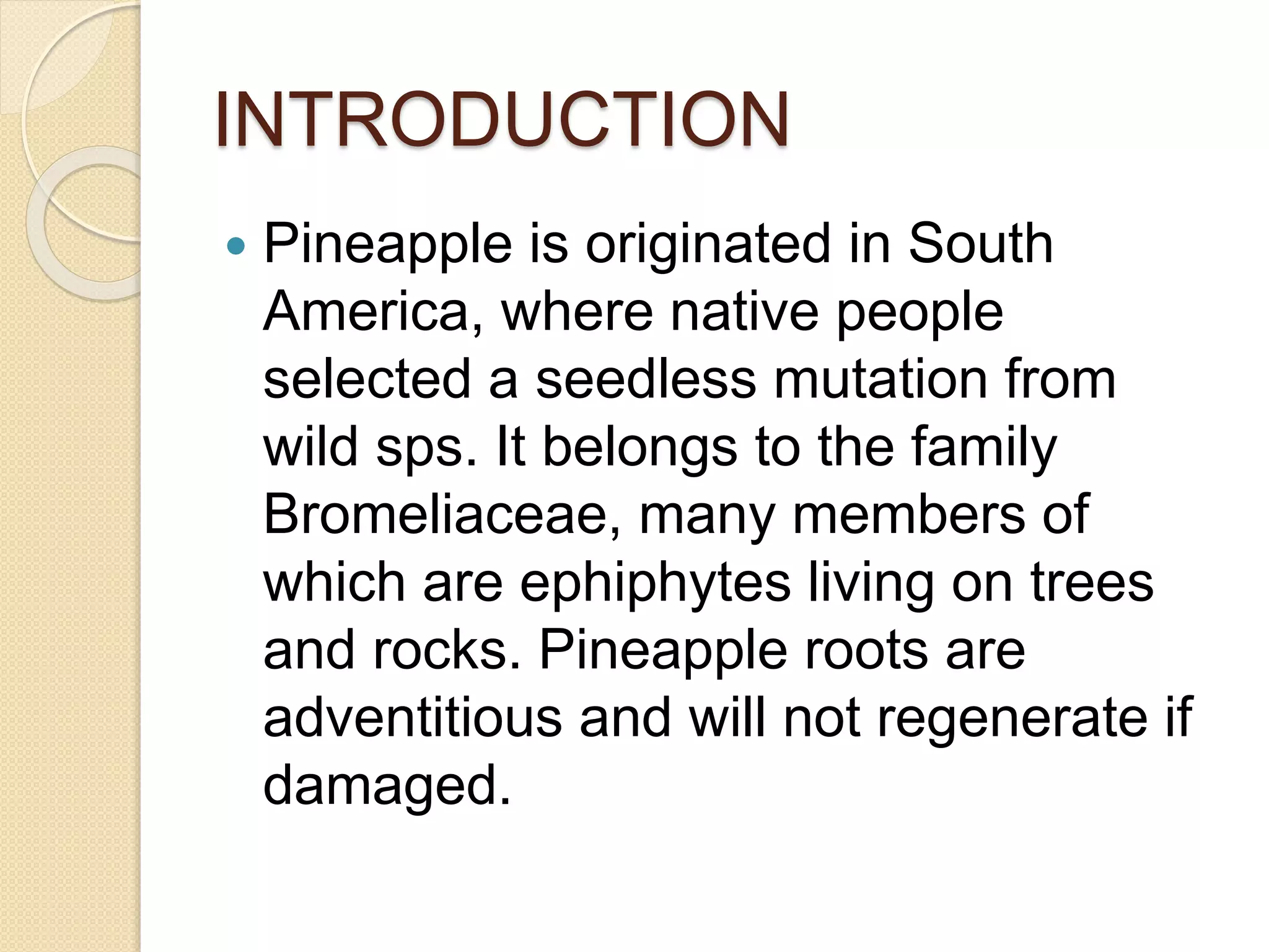 Diseases of Pineapple | PPTX