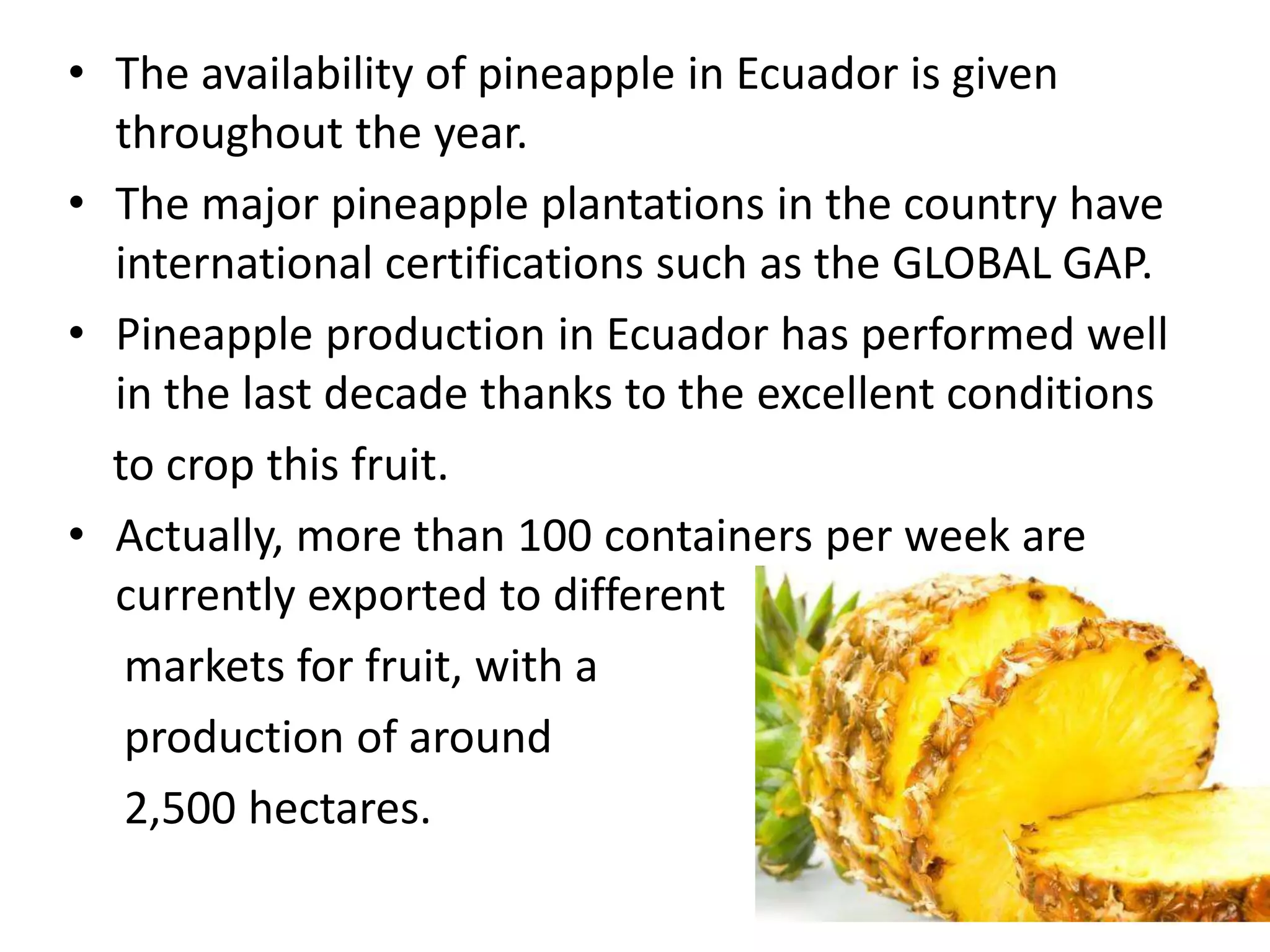 Pineapple exports from Ecuador to Russia | PPTX
