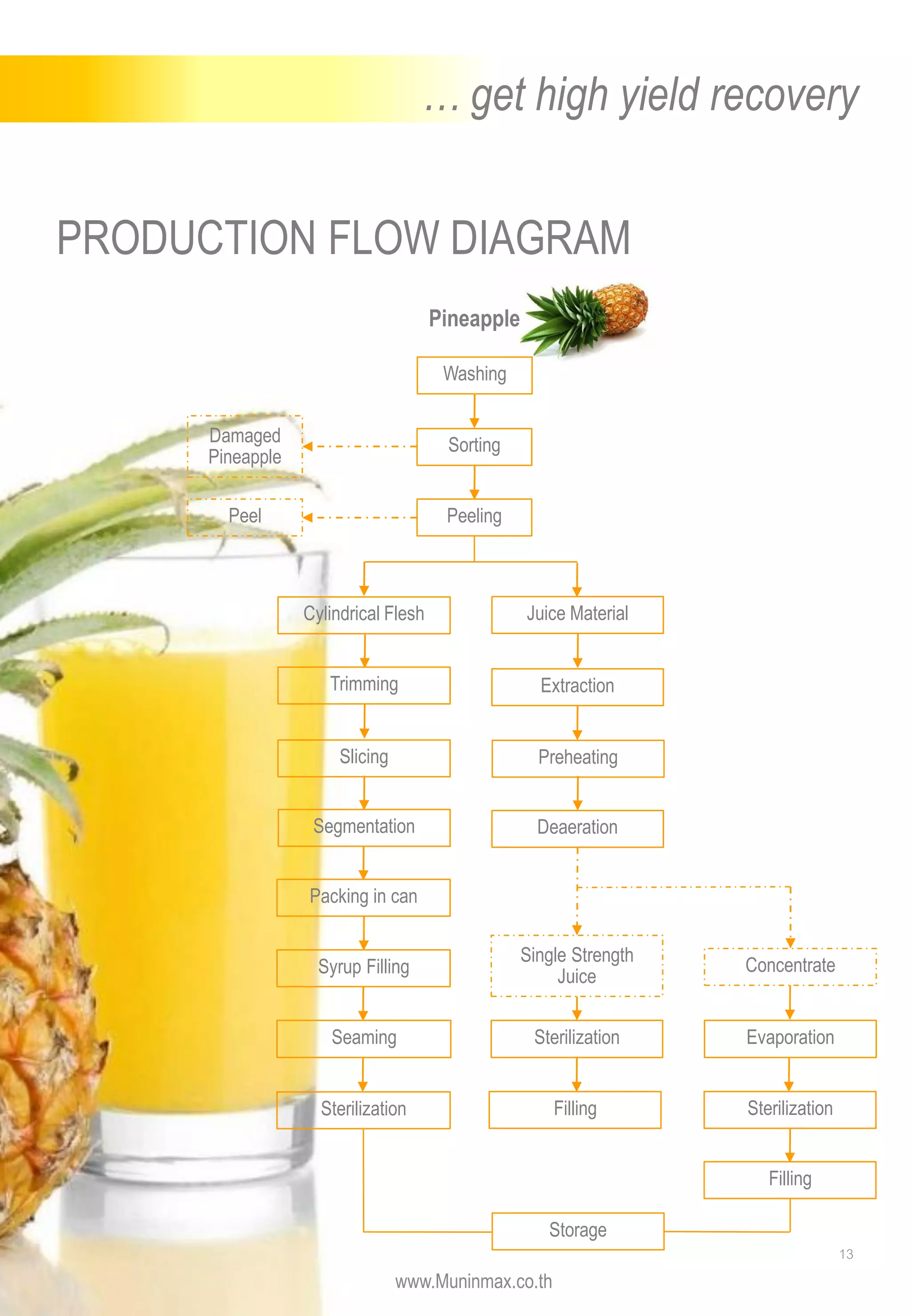 Pineapple processing line - Equipment for Pineapple Plant | PDF