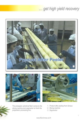 Pineapple processing line - Equipment for Pineapple Plant | PDF