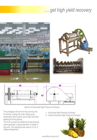 Pineapple processing line - Equipment for Pineapple Plant | PDF