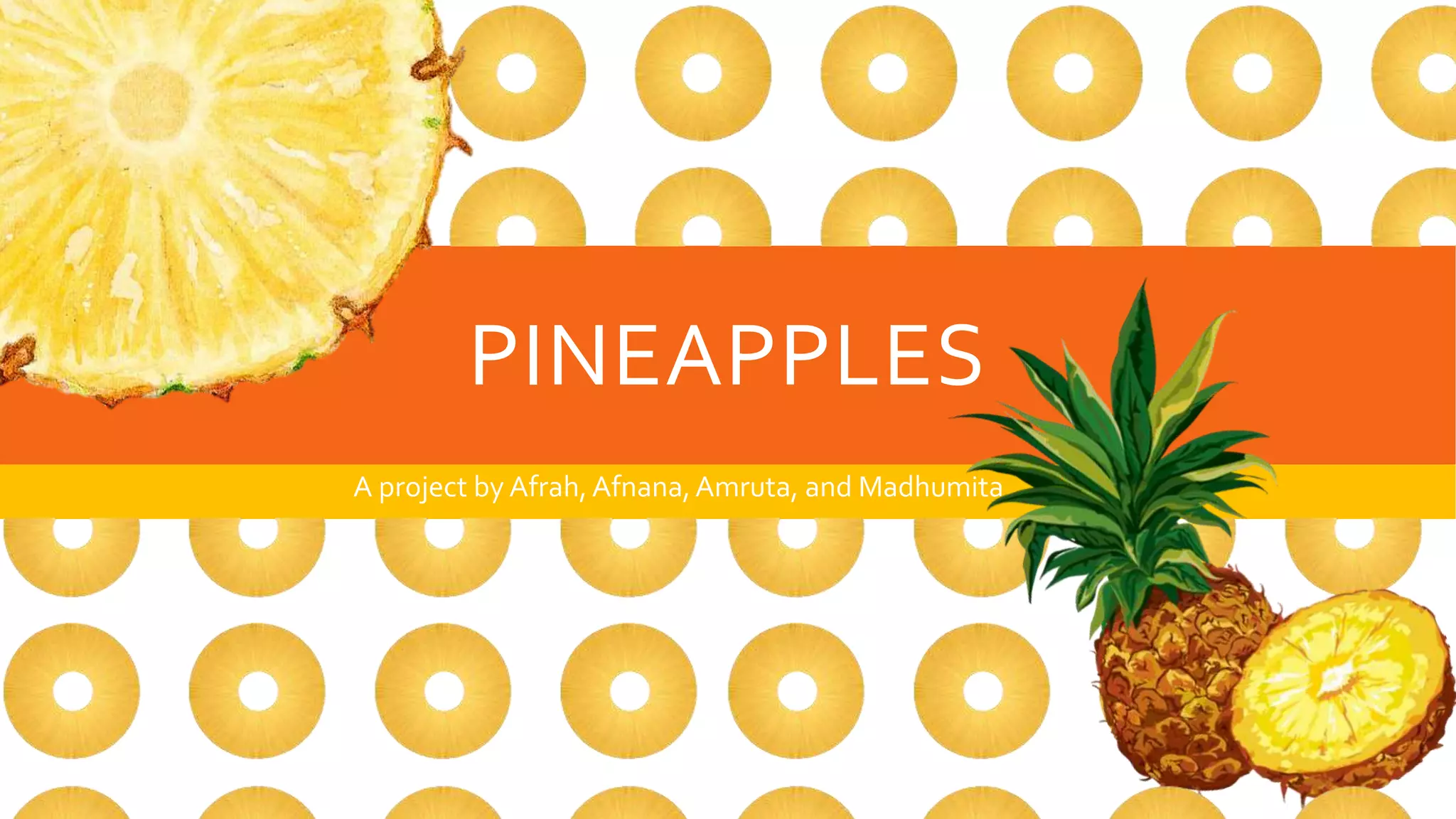 Pineapples project (english ppt) | PPTX
