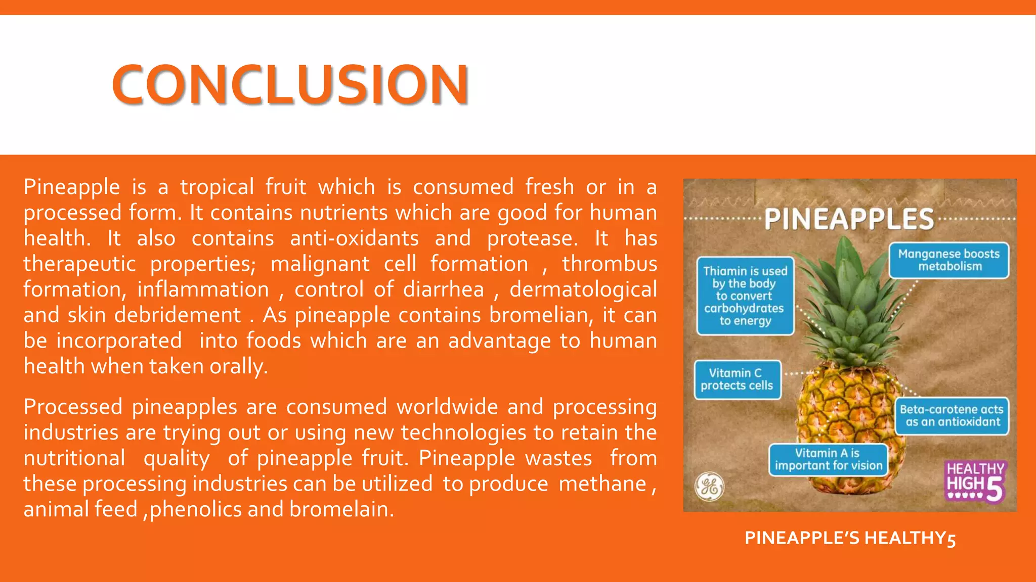 Pineapples project (english ppt) | PPTX