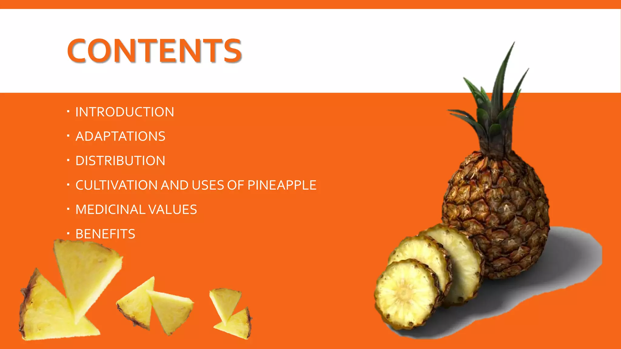 Pineapples project (english ppt) | PPTX