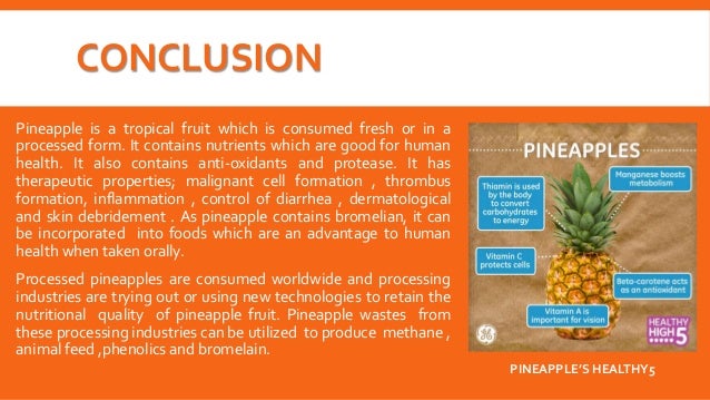 Pineapples project (english ppt)