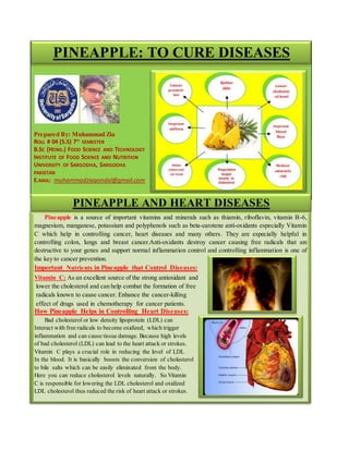 Pineapple to cure disease | DOCX