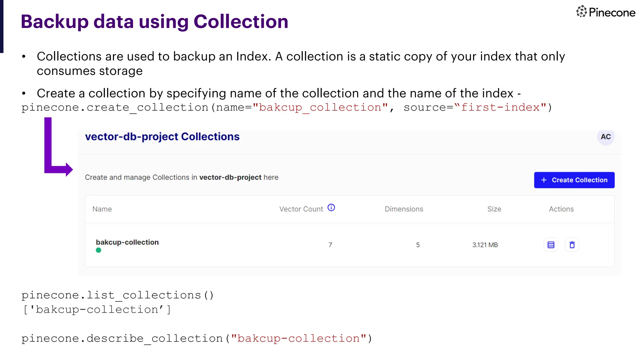Pinecone Vector Database.pdf