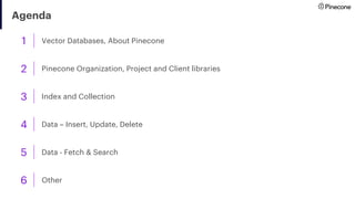 Pinecone Vector Database.pdf