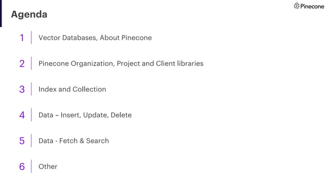 Pinecone Vector Database.pdf | Databases | Computer Software and ...