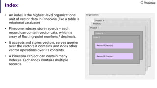Pinecone Vector Database.pdf
