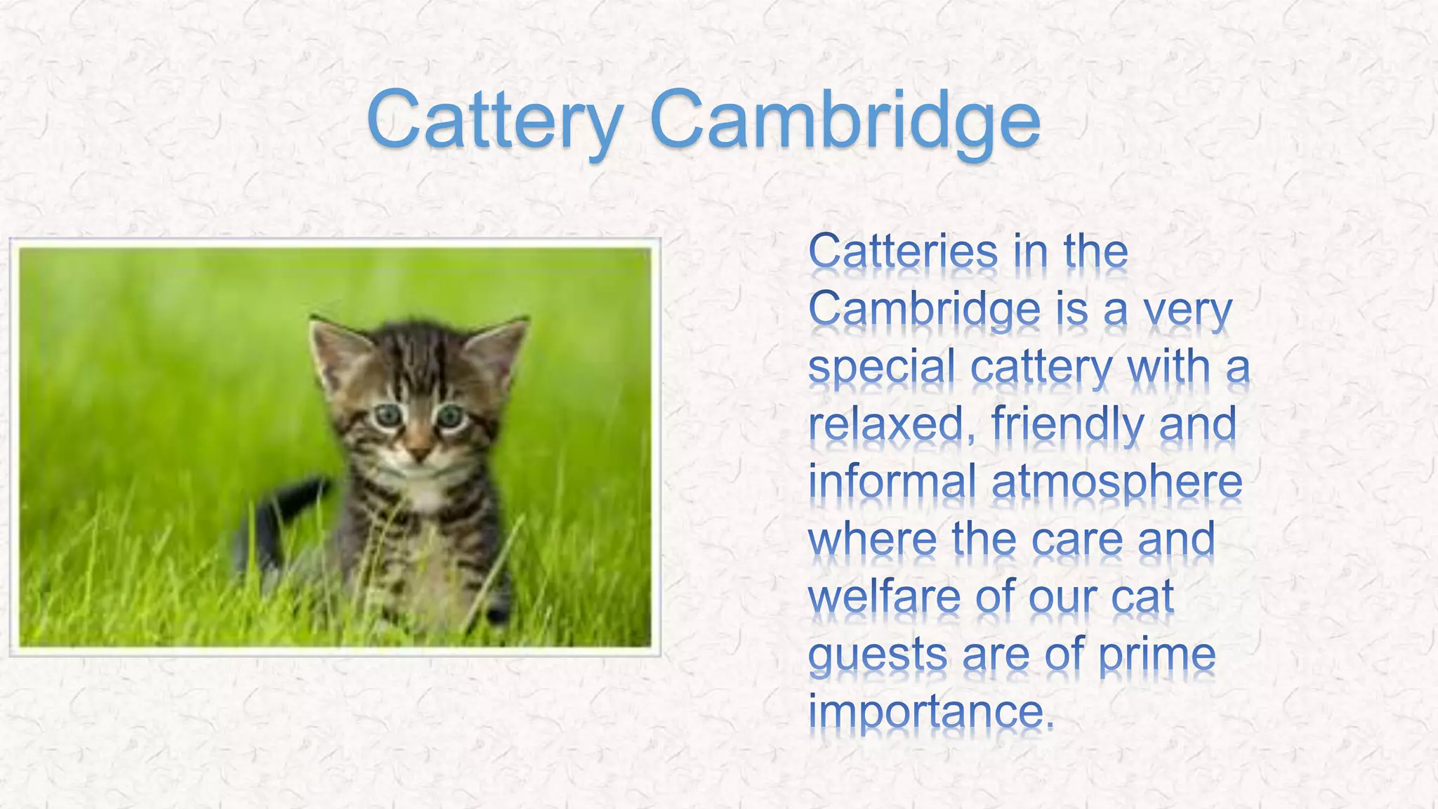 Cattery Cambridge | PPTX