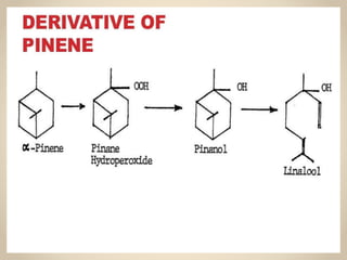 Pinene.pp.soran uni | PPTX