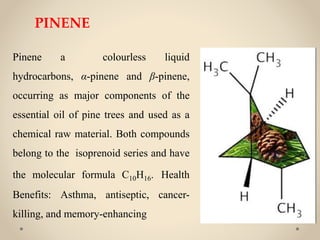 Pinene.pp.soran uni | PPTX
