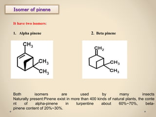Pinene.pp.soran uni | PPTX