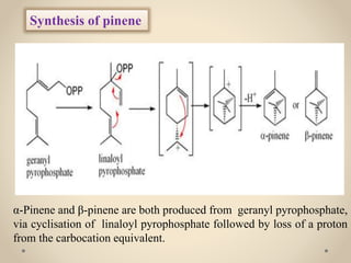 Pinene.pp.soran uni | PPTX
